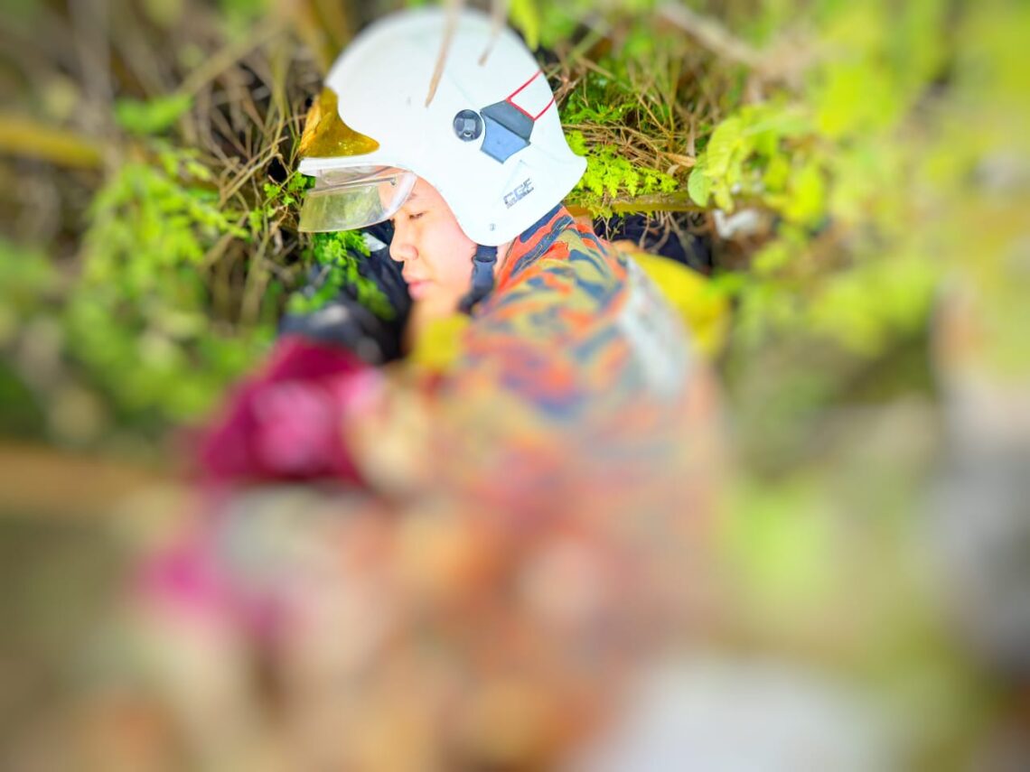 Lelaki maut tercampak, tersangkut dahan kelapa sawit
