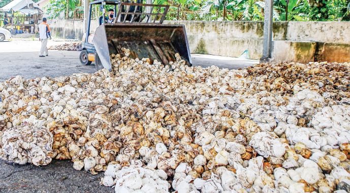 Industri perlu guna getah tempatan, lonjakan harga komoditi