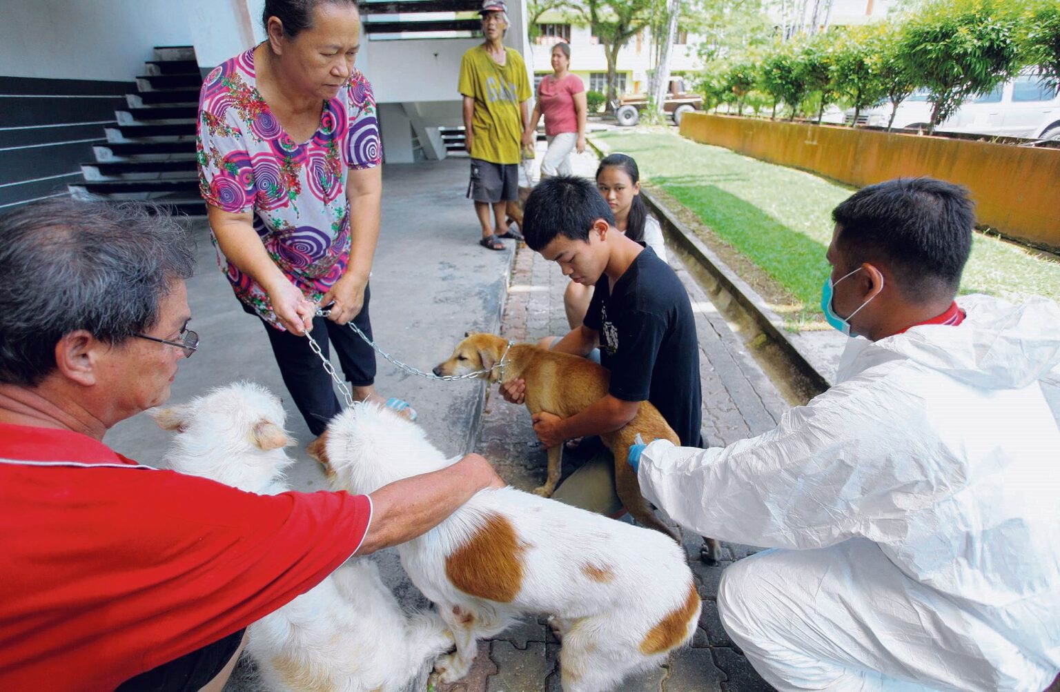 12 kes jangkitan rabies di Kuching - Utusan Malaysia