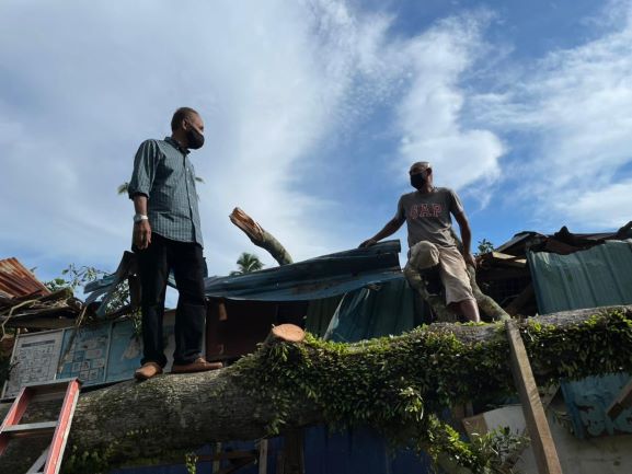 Pokok bacang 100 tahun tumbang hempap rumah - Utusan Malaysia