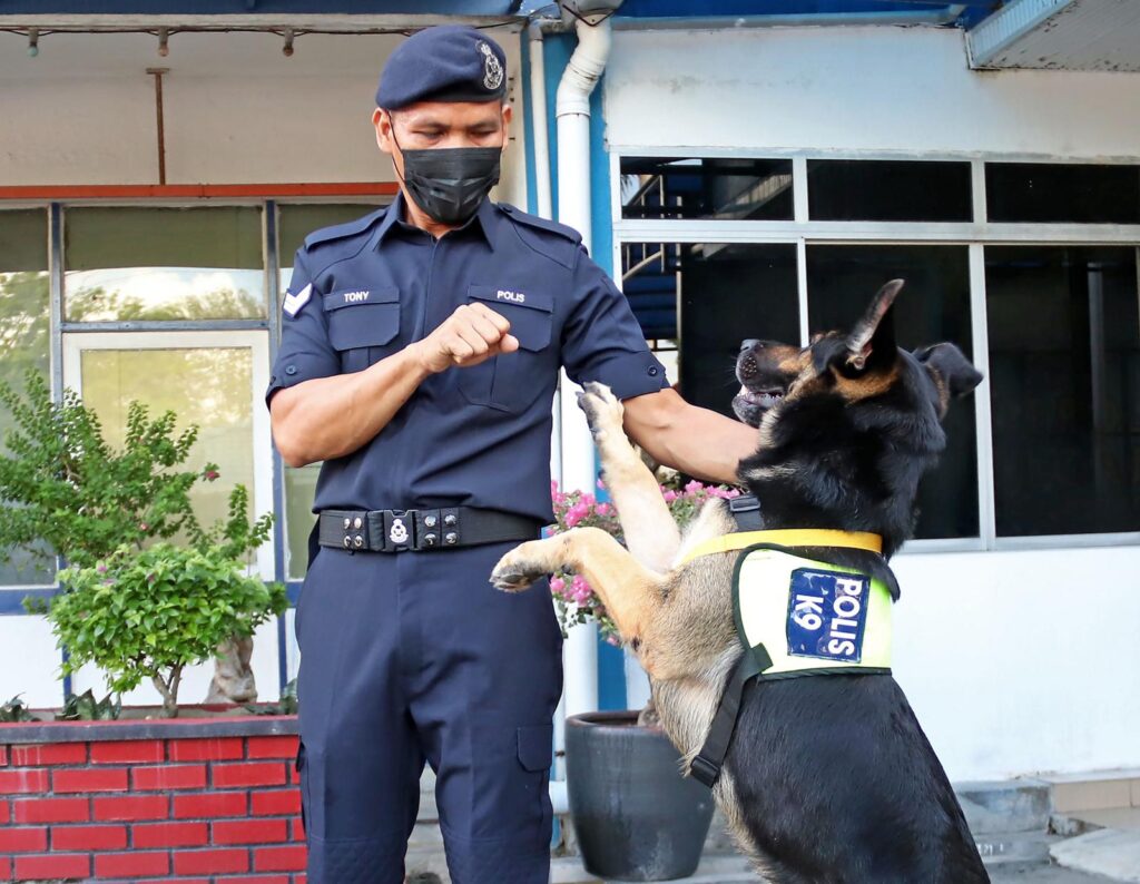Anjing polis Chulio terima pingat penghargaan