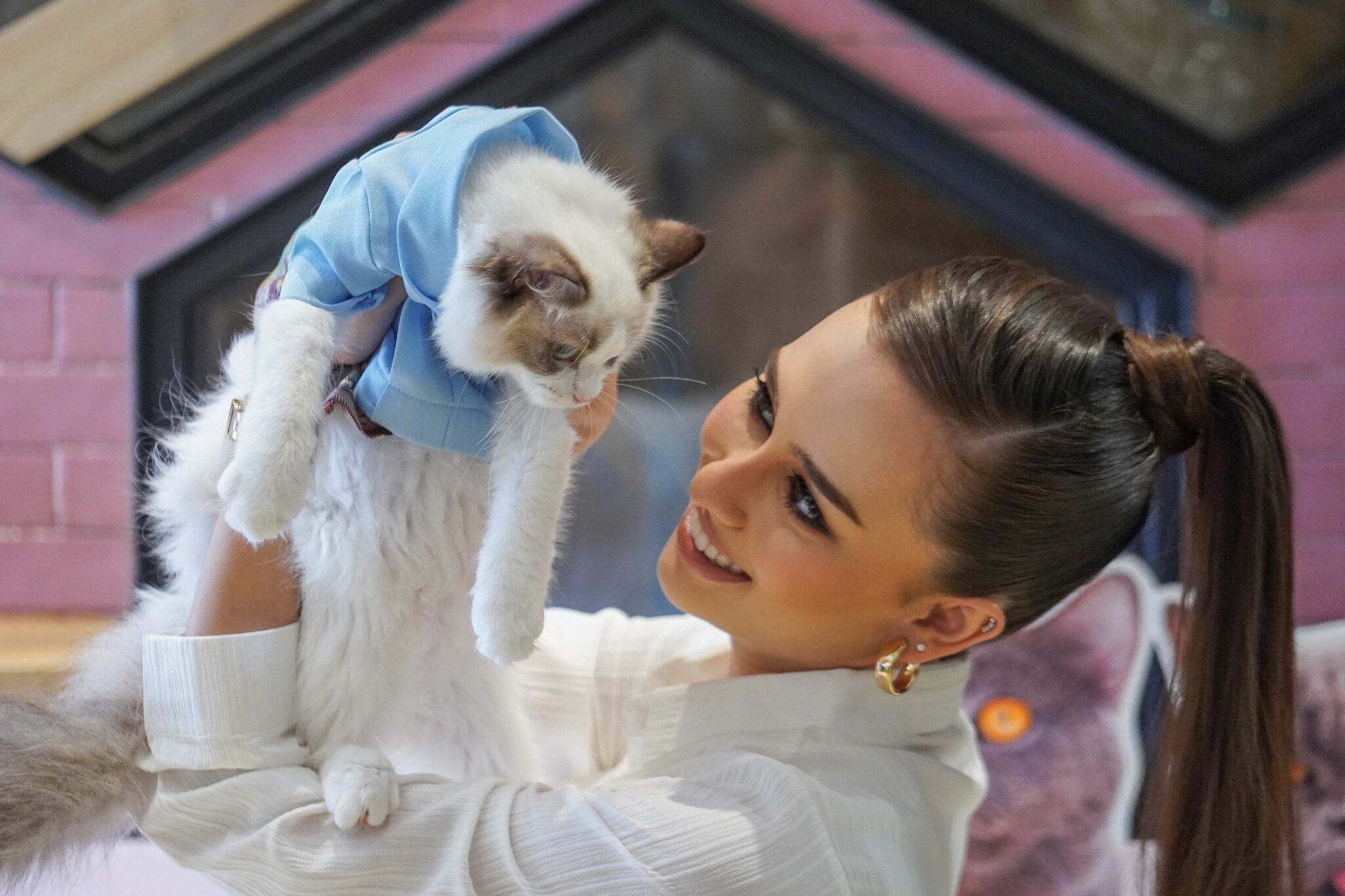 Anna suka kucing cantik, segak - Utusan Malaysia