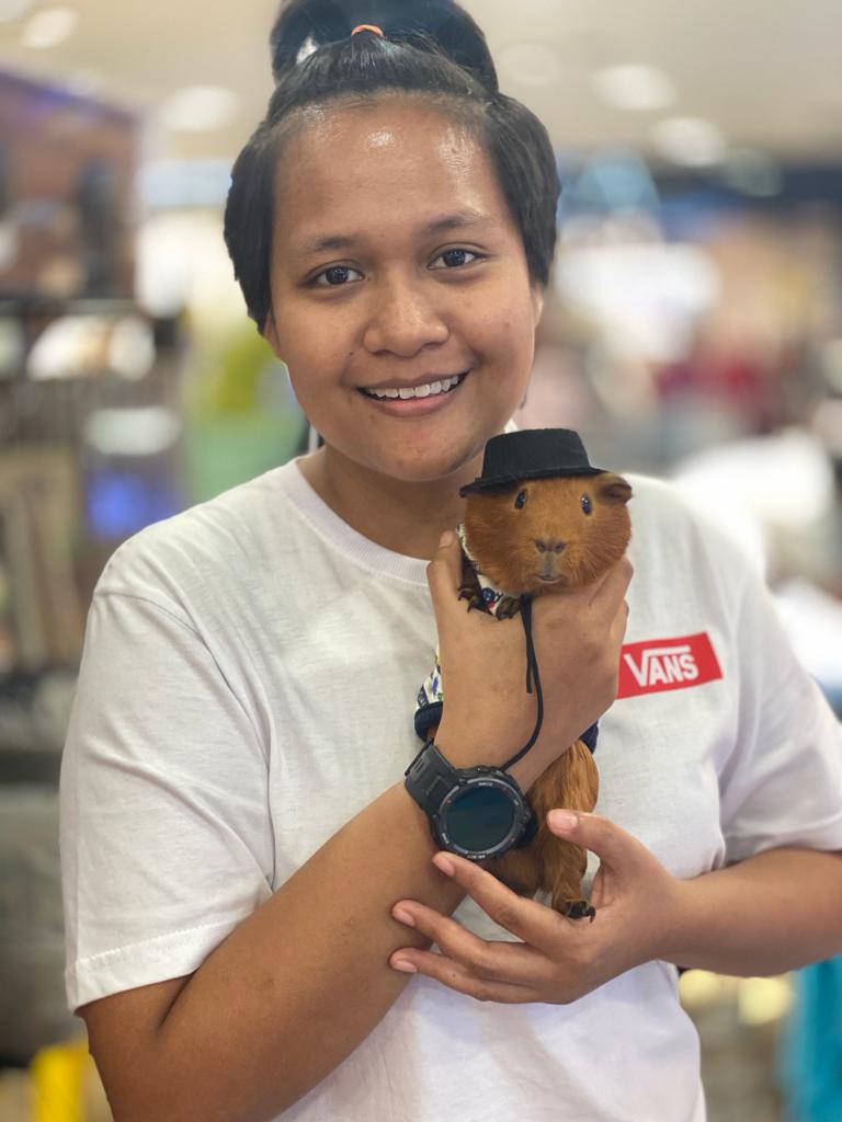 Kalbar, tikus Belanda comel dan popular