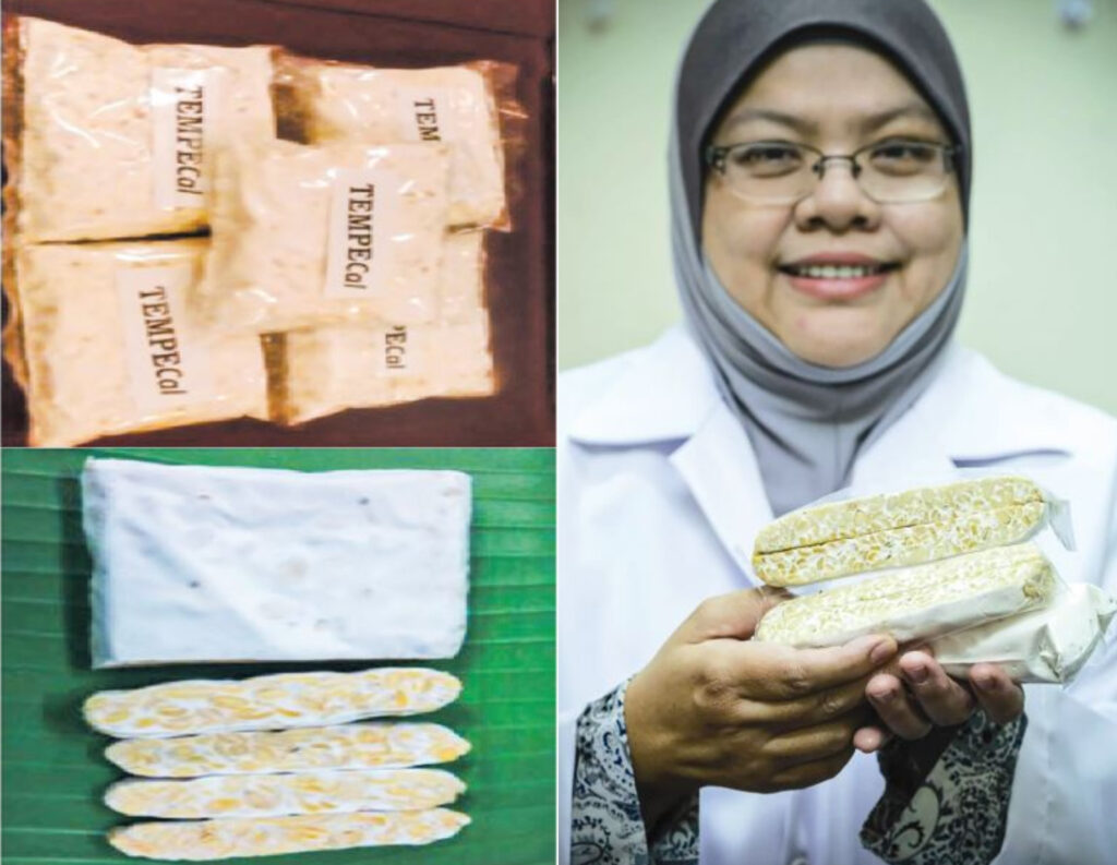 Inovasi hasilkan tempe tinggi kalsium - Utusan Malaysia
