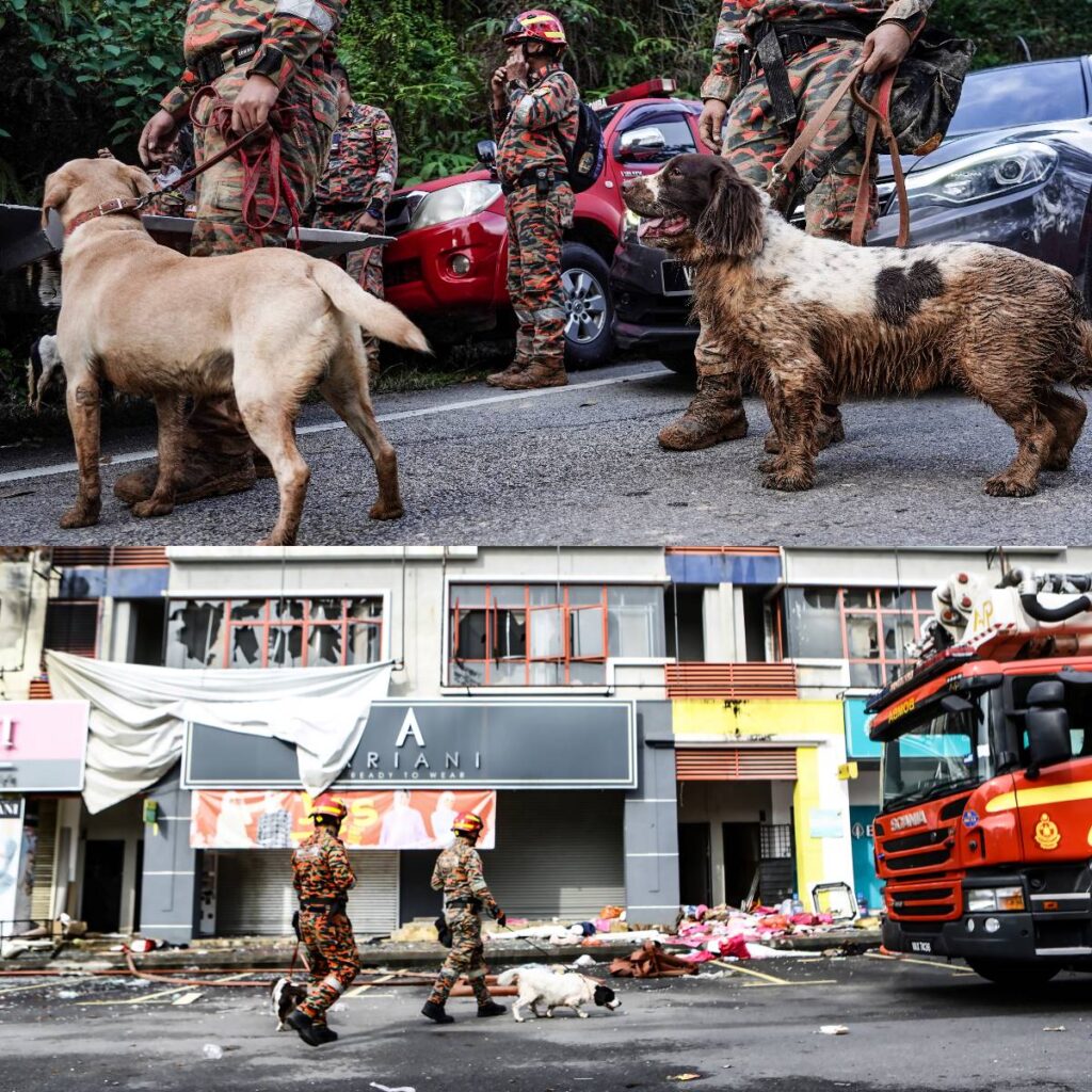 Enam hulubalang genit Bomba - Utusan Malaysia