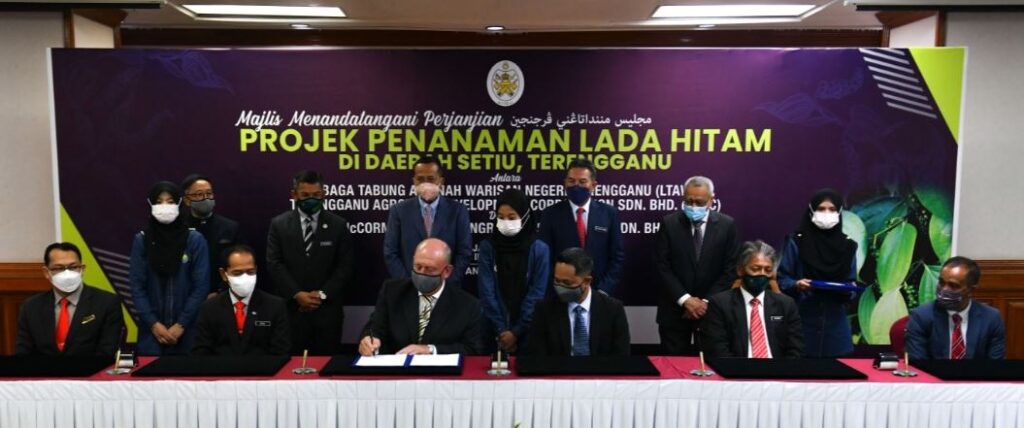 Syarikat AS labur RM360 juta bangun ladang lada hitam pertama di ...