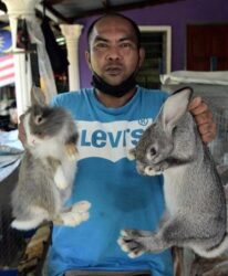 Sempat pindahkan ratusan arnab, haiwan peliharaan eksotik - Utusan Malaysia