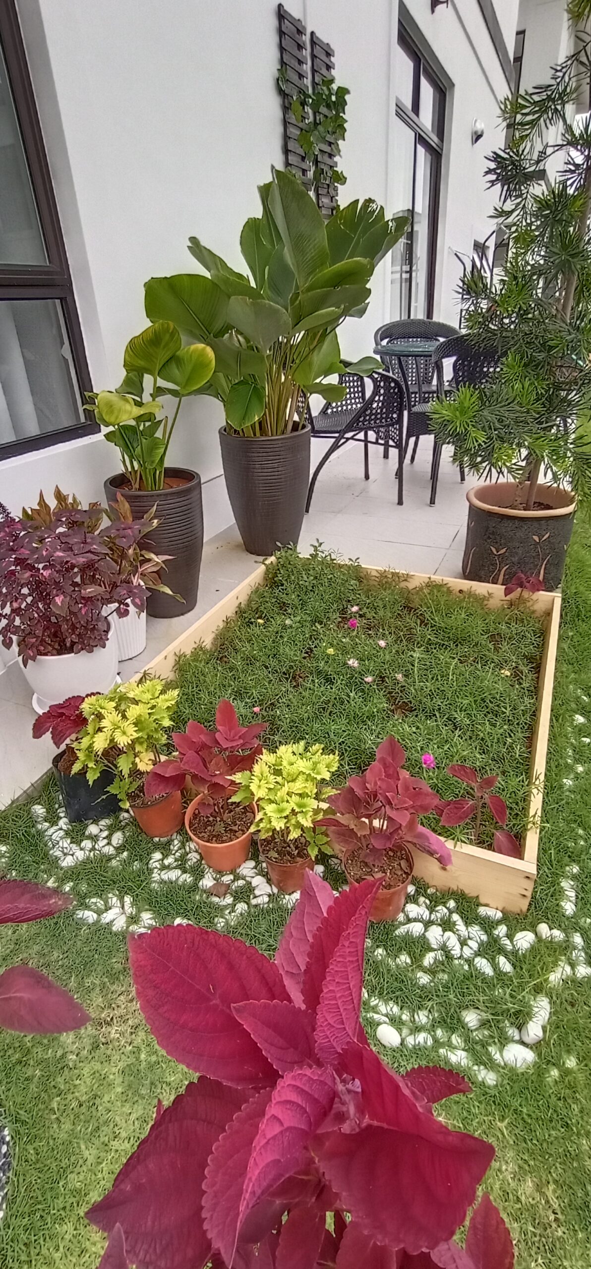 Pokok hidup pilihan dekorasi - Utusan Malaysia