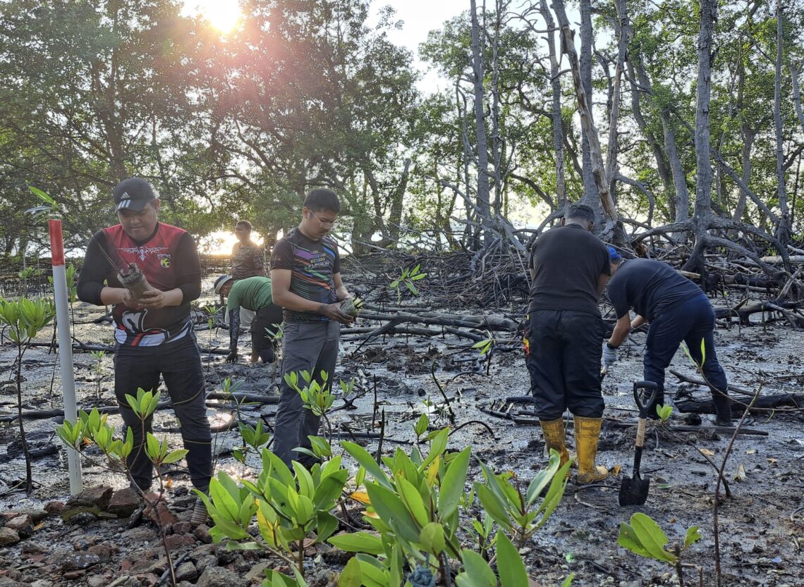 Bantu usaha pelihara, tanam semula pokok bakau di Negeri Sembilan ...