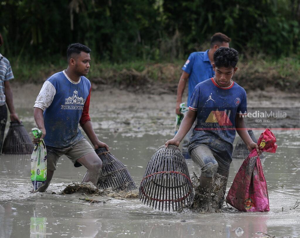 Tradisi serkap ikan di Kampung Barokhas, Kuala Nerang - Utusan Malaysia