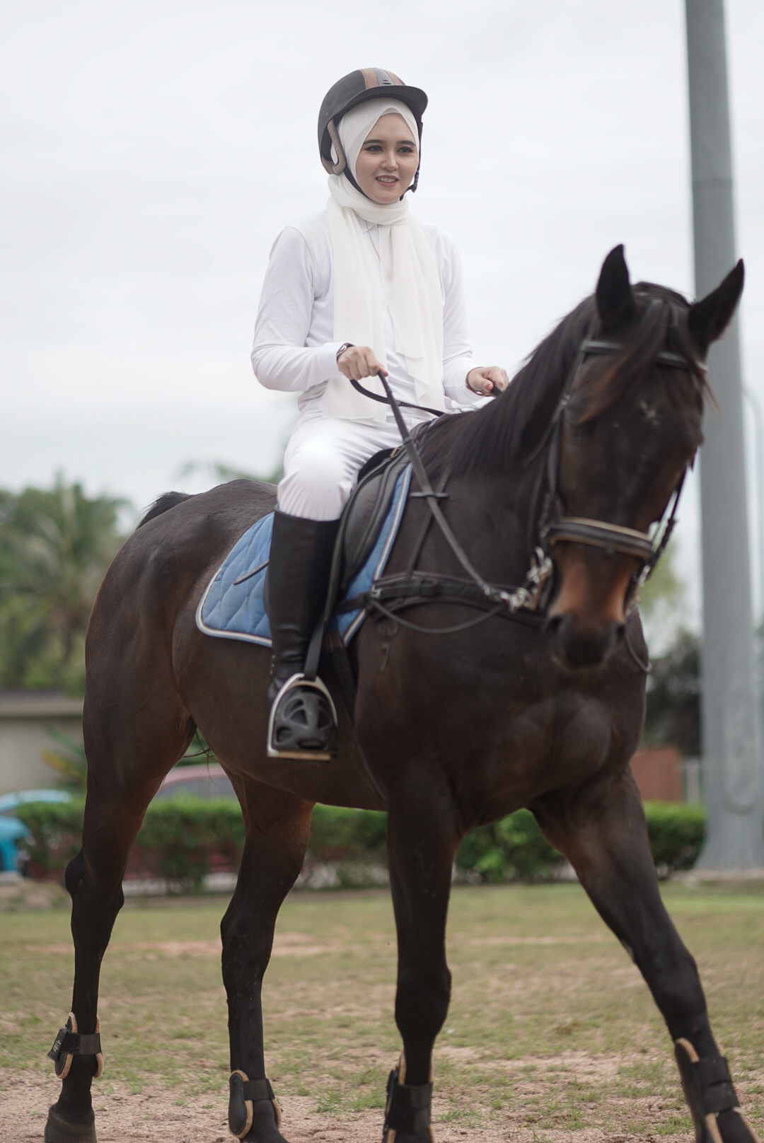 Bos anda bagi apa? Meeracle bagi kuda - Utusan Malaysia