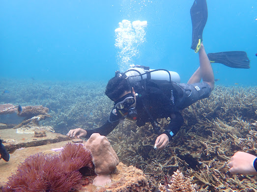 Terumbu karang perairanTerengganu terancam