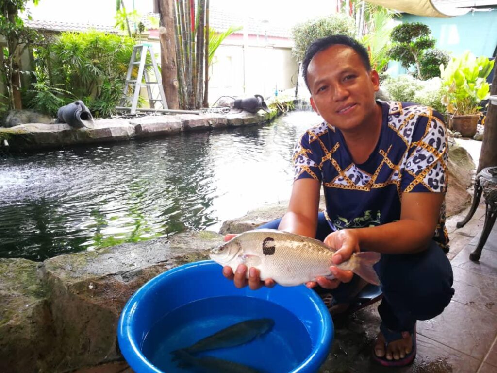 Juruterbang kini ternak ikan - Utusan Malaysia