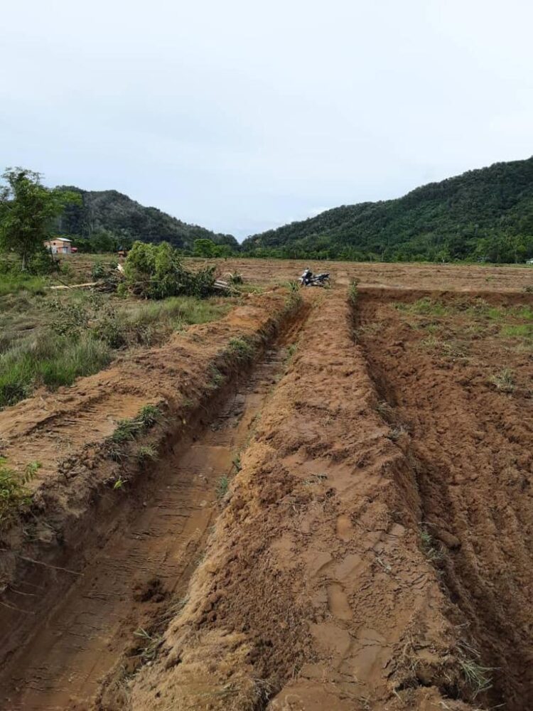 BERNAS komited perkaya produk makanan negara - Utusan Malaysia