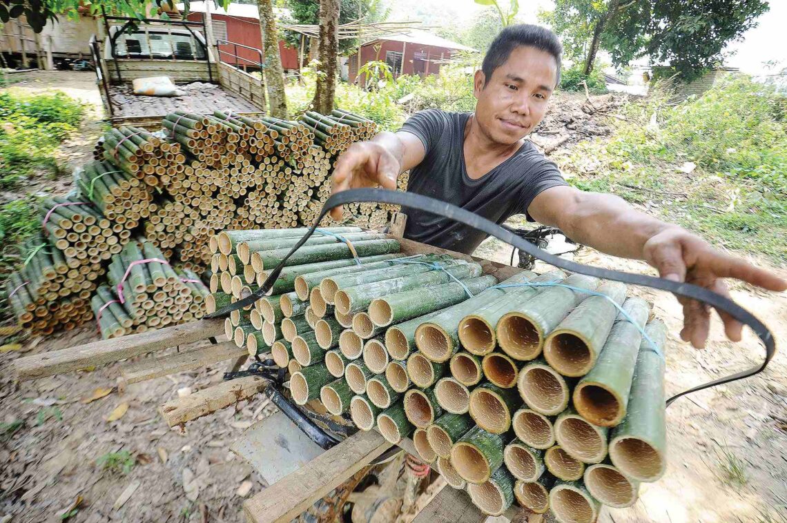 Buluh lemang dari Kenaboi jadi pilihan peraih