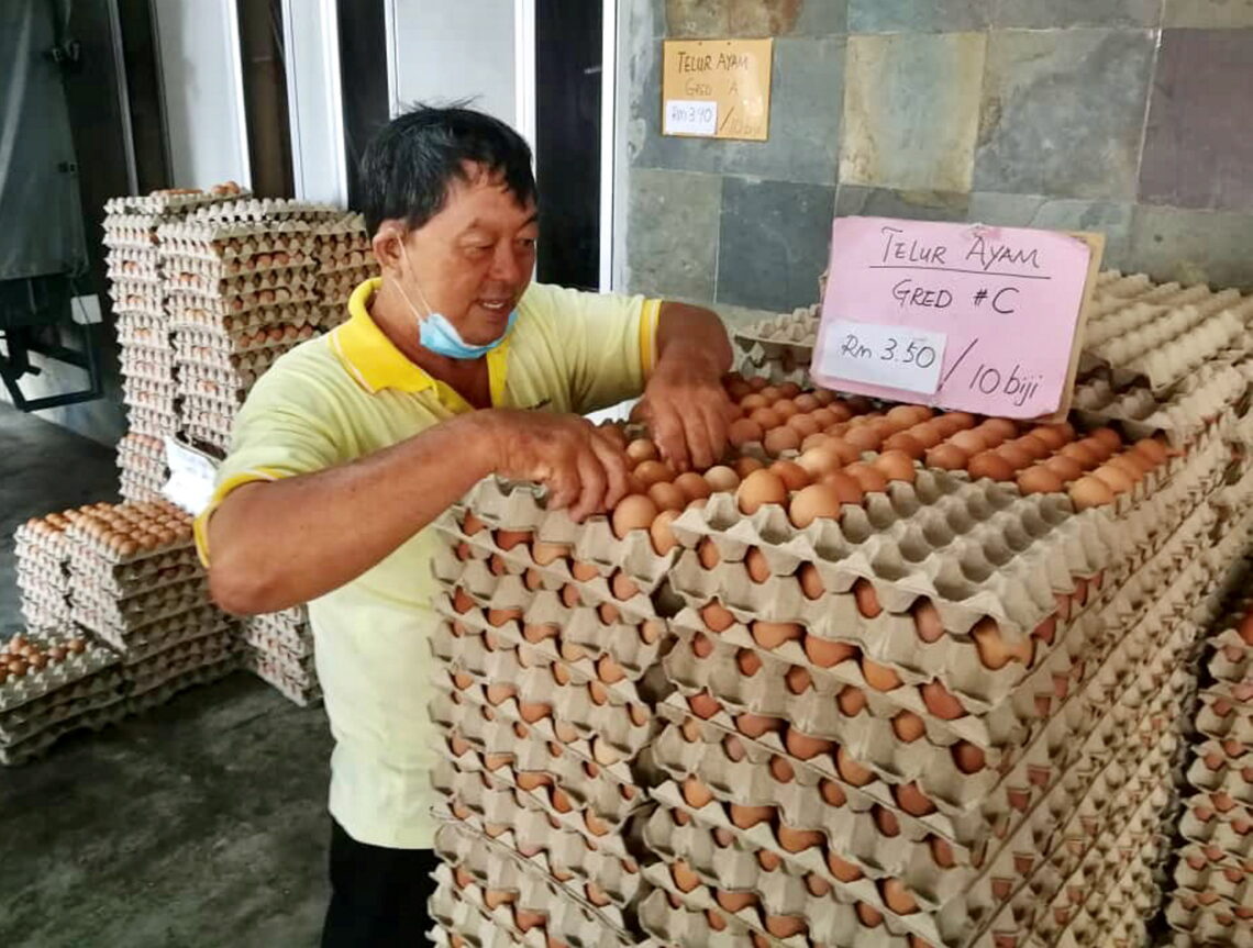 Harga telur ayam, itik bulan ini capai rekod tertinggi dalam sejarah ...