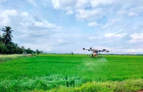 RMK-12: Tiga fokus perlu diberikan dalam bidang Pendidikan - Utusan Digital