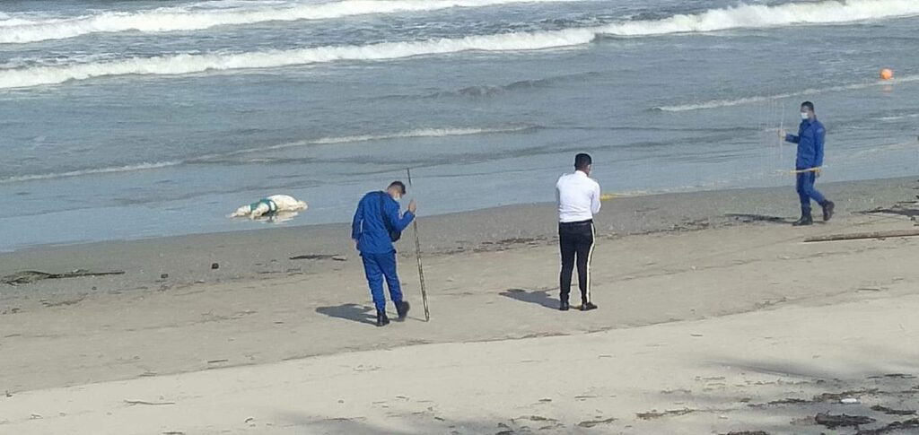 Mayat reput terdampar di Pulau Kekabu - Utusan Malaysia