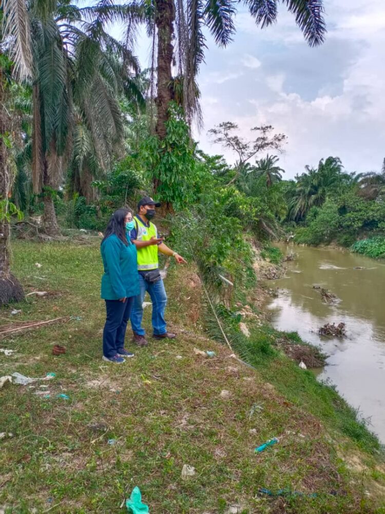Kelodak Sungai Kulim punca ikan mabuk, mati - Utusan Malaysia