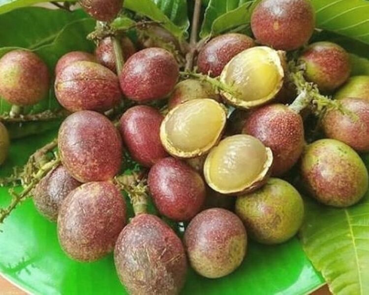 Buah kristal perasa durian, rambutan, laici dijual FAMA - Utusan Malaysia
