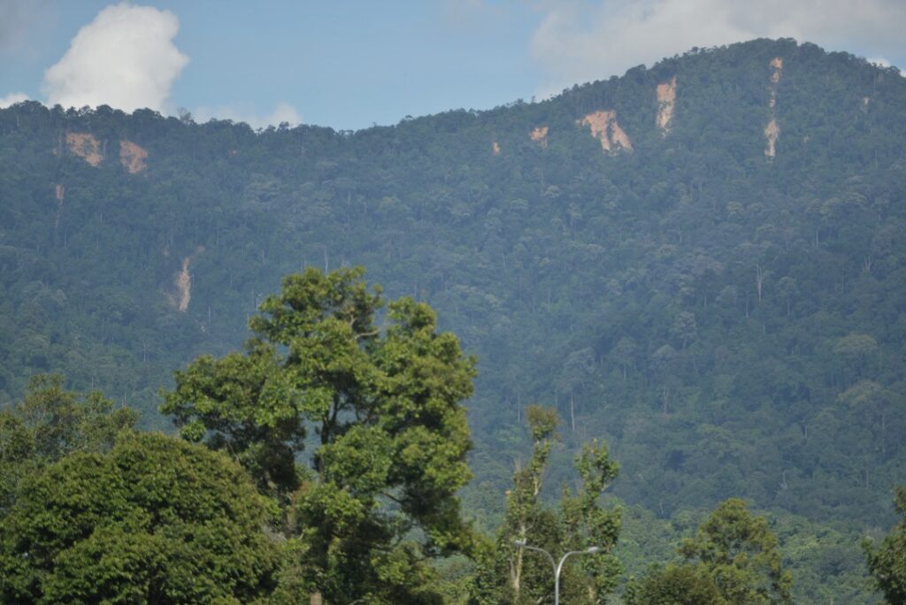 Kesan cerun, tanah runtuh di gunung banyak kelihatan - Utusan Malaysia