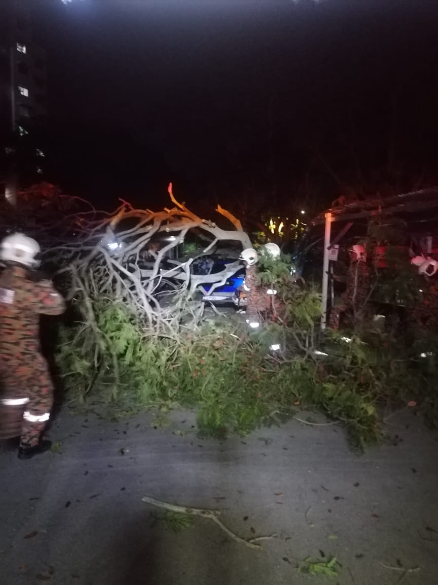 Penunggang motosikal cedera dihempap pokok tumbang - Utusan Malaysia Penunggang motosikal cedera dihempap pokok tumbang - Utusan Malaysia