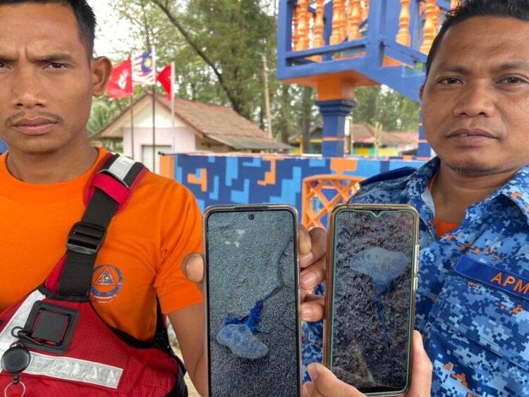 Ubur-ubur api biru muncul di pesisir Pantai Irama Bachok