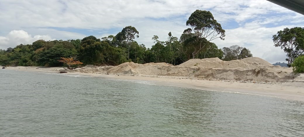 Ambil serius isu habitat penyu di Segari - Utusan Malaysia