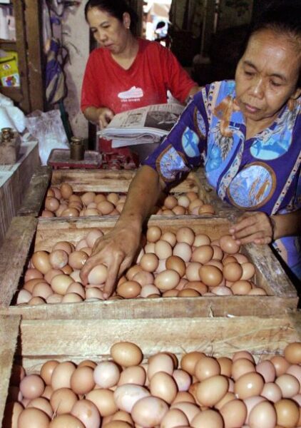 Harga telur ayam terus melonjak naik di Jakarta