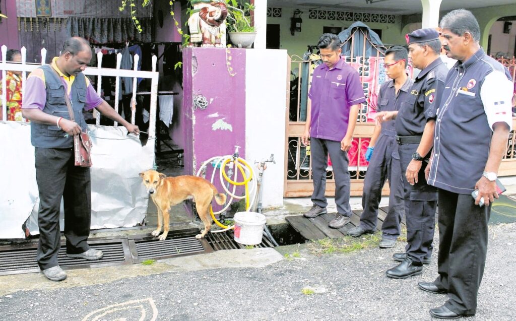 Latih anjing jalanan sebagai haiwan pengesan - Utusan Malaysia