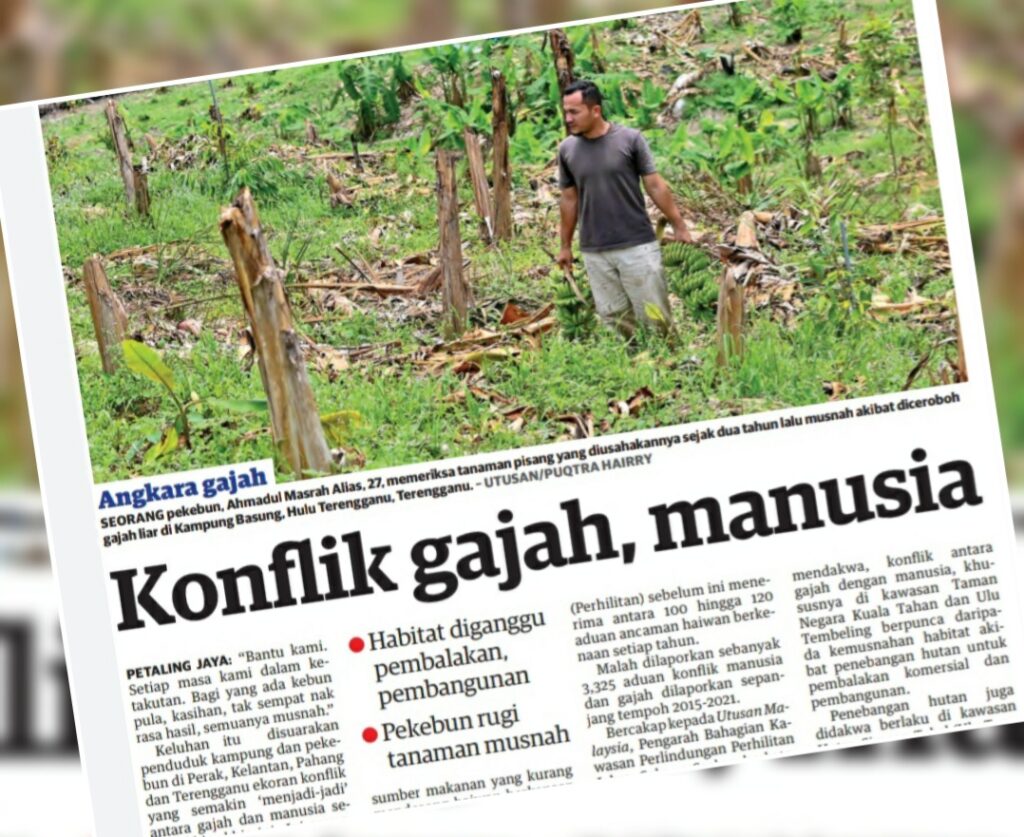 1,356 kes konflik manusia-hidupan liar sejak 2017