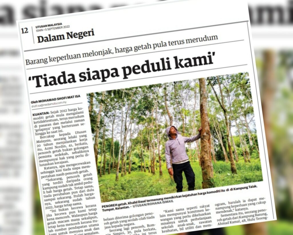 Harga getah jatuh, penoreh cekal bertahan hidup