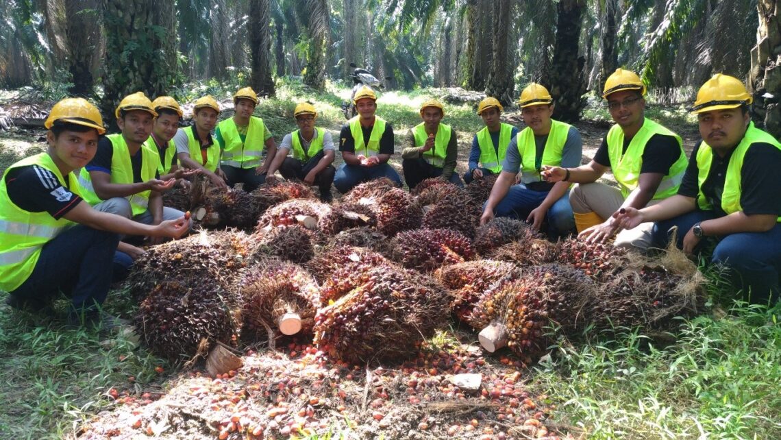 tenaga kerja sektor perladangan