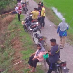 Pancing ikan puyu tarikan ke Perlis - Utusan Malaysia