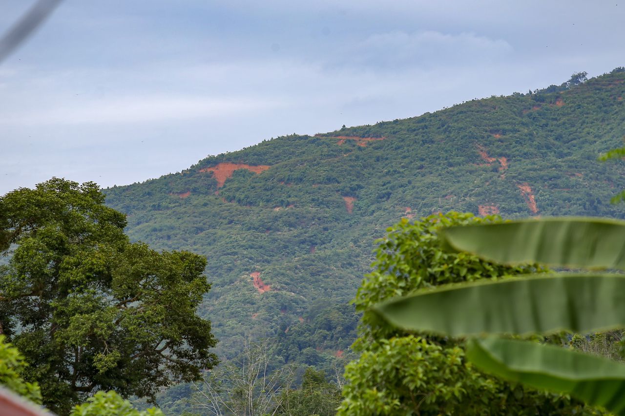 NGO pernah suarakan kebimbangan keadaan di Gunung Inas