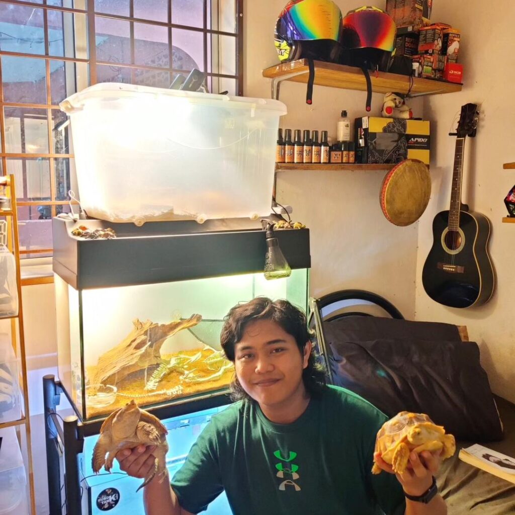 Kura-kura penawar putus cinta