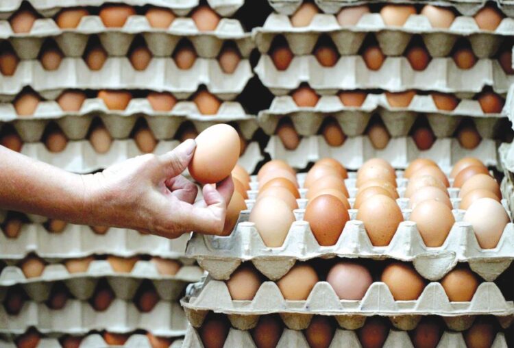 Telur biasa ditukar label omega