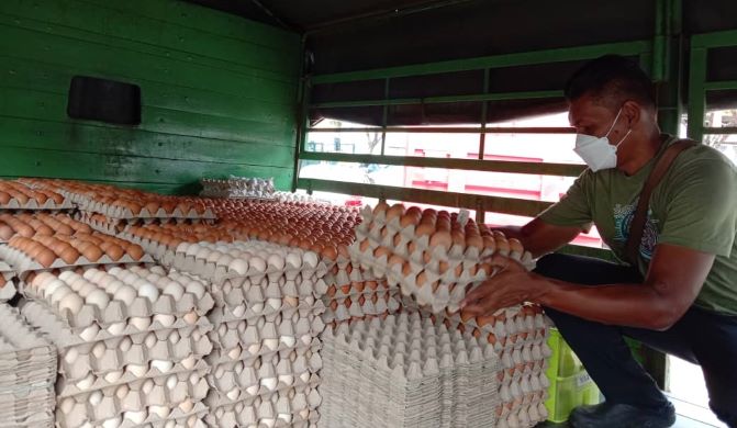 Pemborong resah bekalan telur ayam kurang