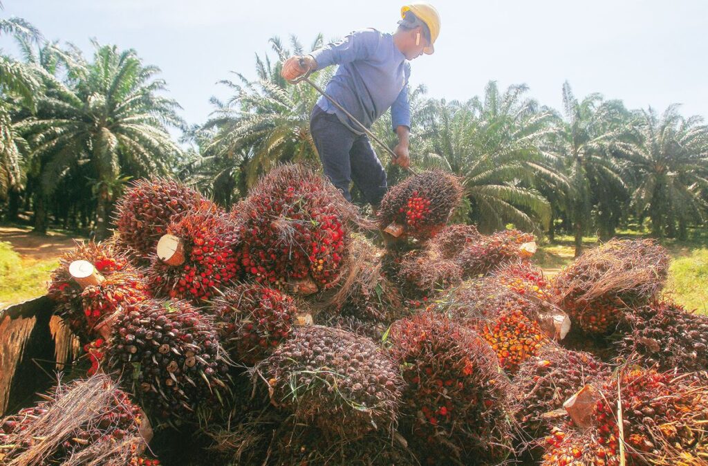 Langkah Indonesia sekat eksport sawit boleh beri kesan besar