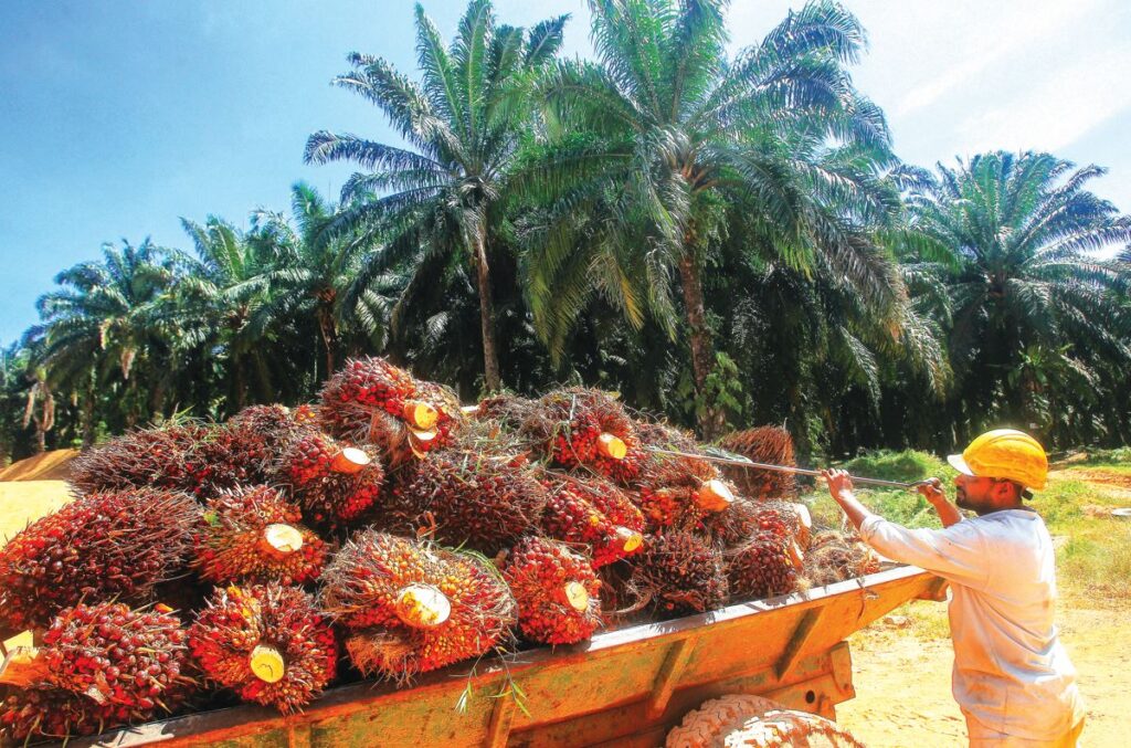 Hana Raja dilantik Pengarah Urusan Cisco Malaysia - Utusan Digital