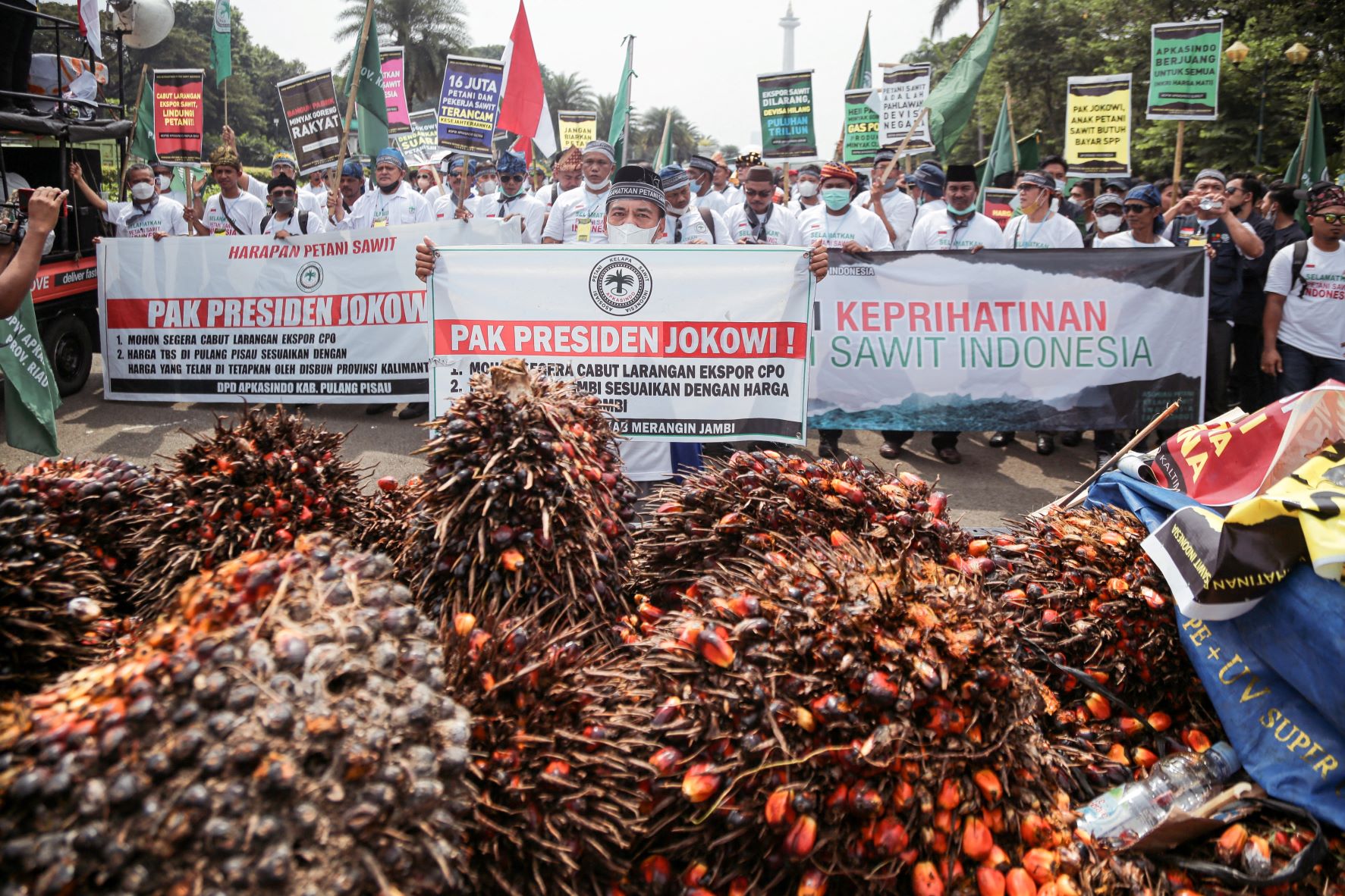 'Pekebun Malaysia tersenyum lebar, pekebun Indonesia menderita'